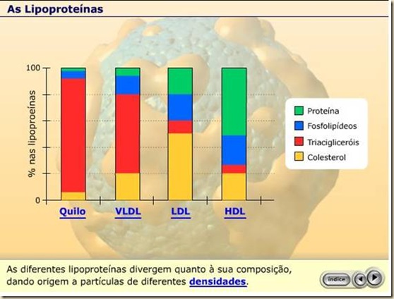 Blog de Bioquímica: TraNspOrtE de LipídEOs por LiPopRoTEínaS